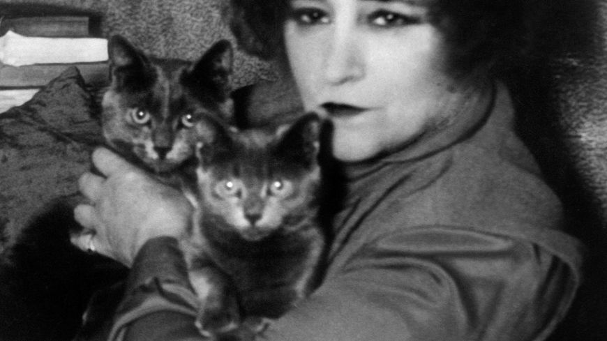 Colette, pionnière de la cause animale