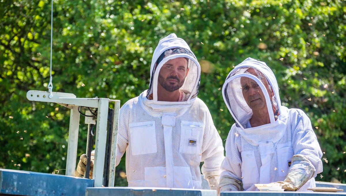 Icko leader européen de l'apiculture (partie 2)