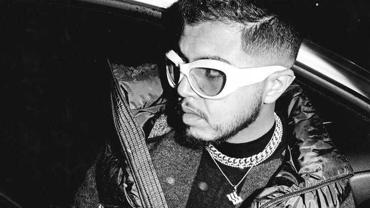 La discographie d’Hamza décryptée