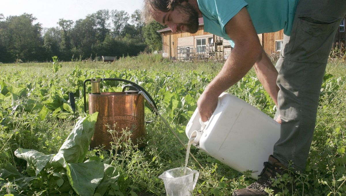 La biodynamie, une agriculture respectueuse de tout le vivant