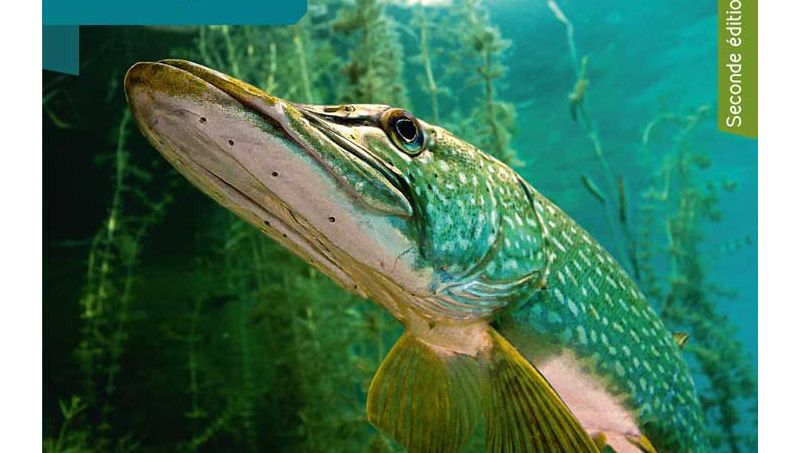 Les Poissons d'eau douce de France avec Nicolas Poulet