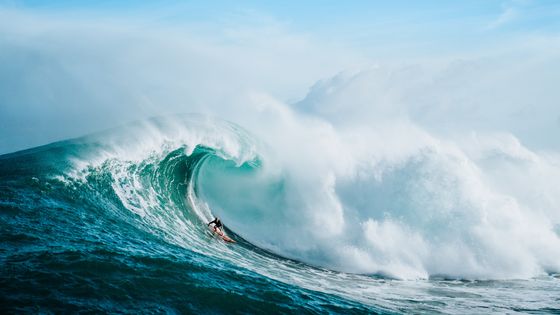 En quête de la vague parfaite