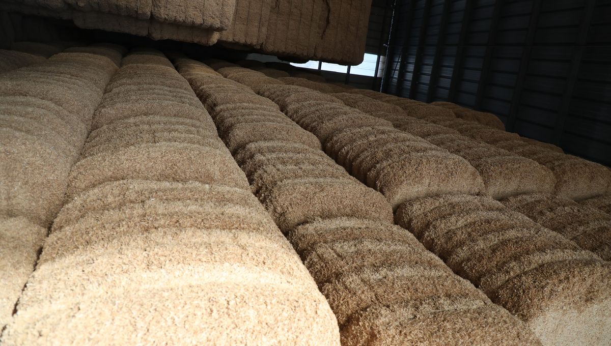 La nouvelle économie : La paille de riz comme isolant