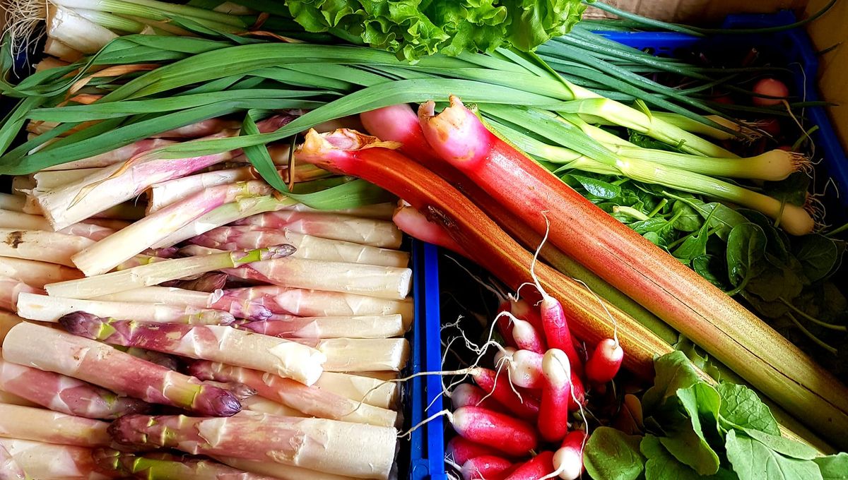 Les nouveaux légumes