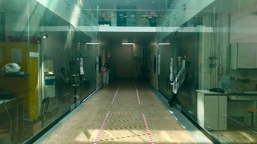 Dans les coulisses du C2RMF, le laboratoire de pointe des Musées de France