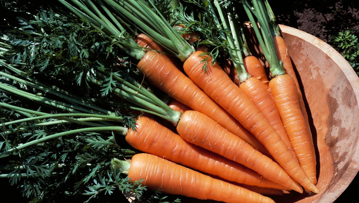 On cuisine la carotte sur France Bleu Alsace