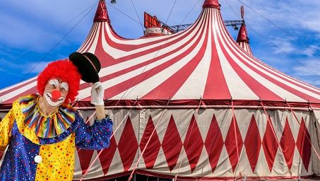 Le cirque : plusieurs siècles d’exploits et un monde en mutation