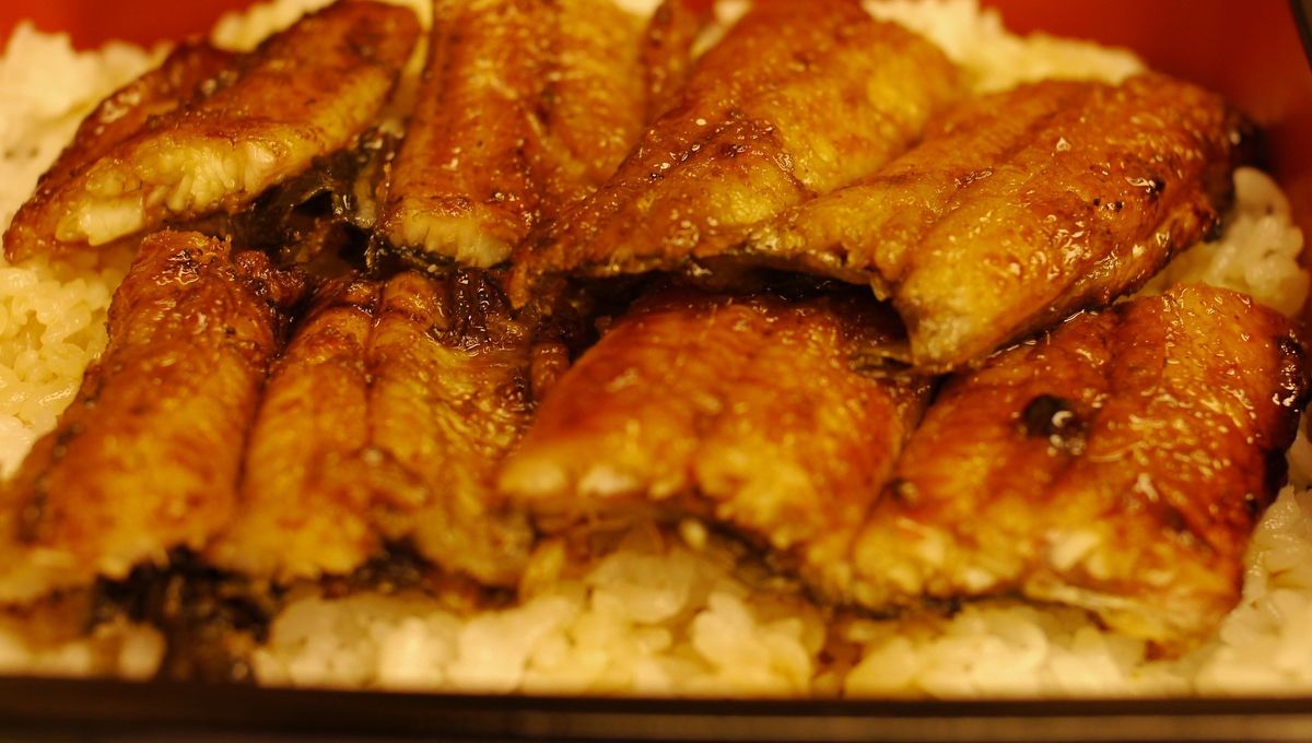 Les anguilles, c'est la saison, c'est pas cher et facile à cuisiner