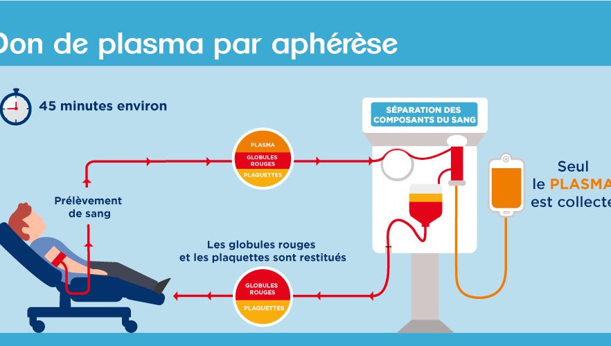 Les établissements Français du sang dont celui de Pau ont besoin de plasma