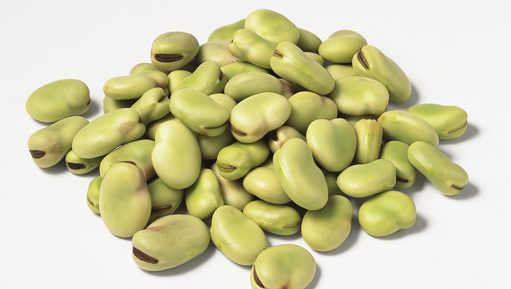 RECETTE - Les fèves aux olives et citrons confits