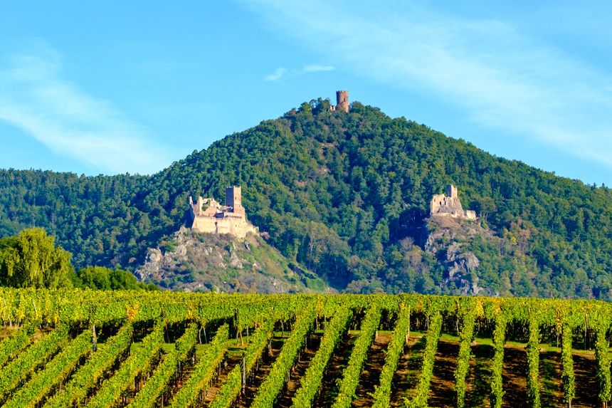Promenades en Alsace avec Edmond Hérold - Wanderungen im Elsass mit ...