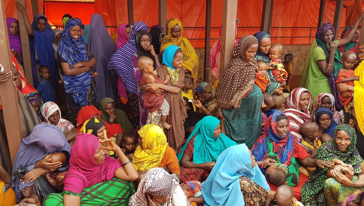 L’Afrique, continent le plus touché par la famine