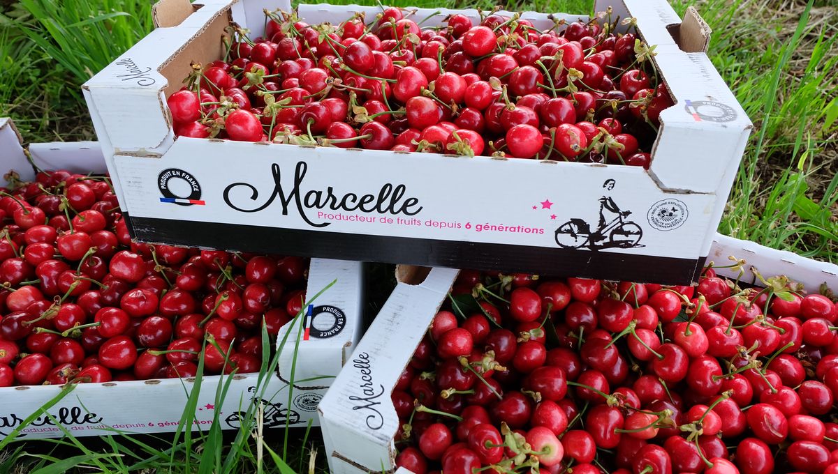 A St-Marcel-les-Valence, à la Ferme de Marcelle on trouve fruits ...