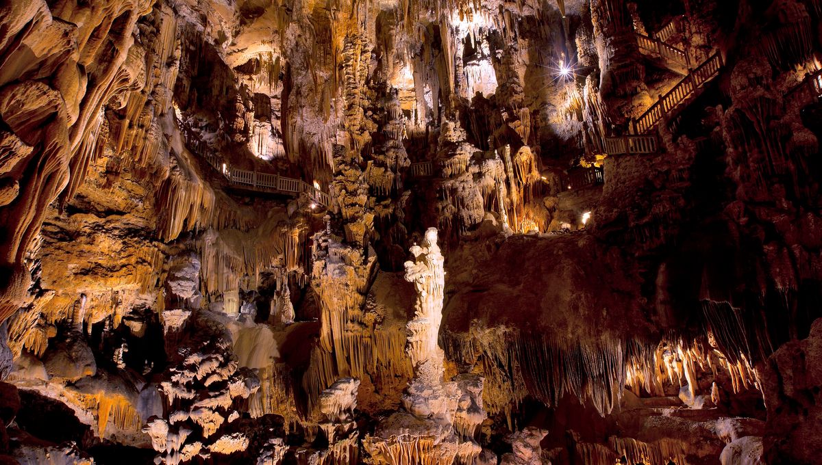 La grotte des demoiselles, un site d'exception en Languedoc