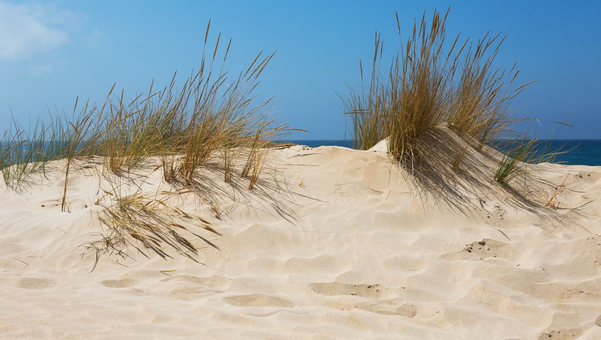 De quoi et qui compose le sable