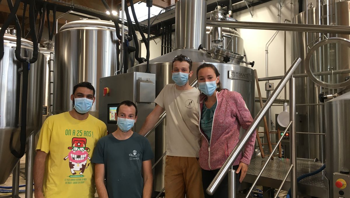 Un été pour tester le métier de brasseur