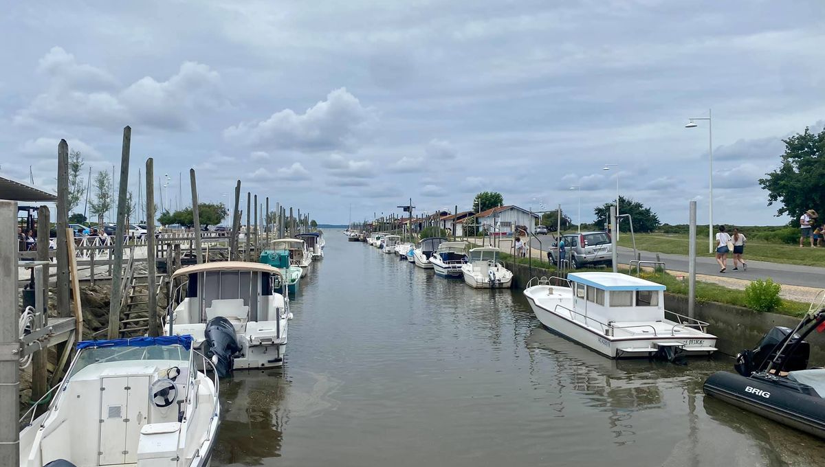 Quelques idées sorties à Audenge