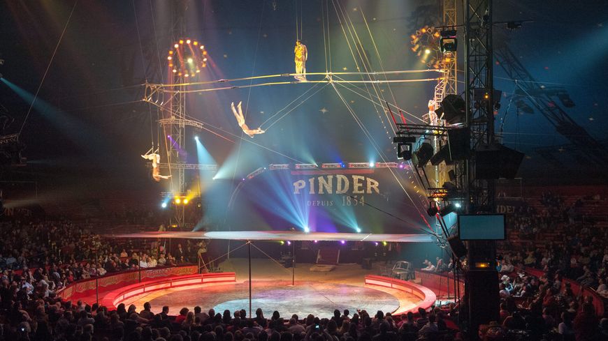 Cirques traditionnels : "Les plus créatifs résisteront, pour un public ...