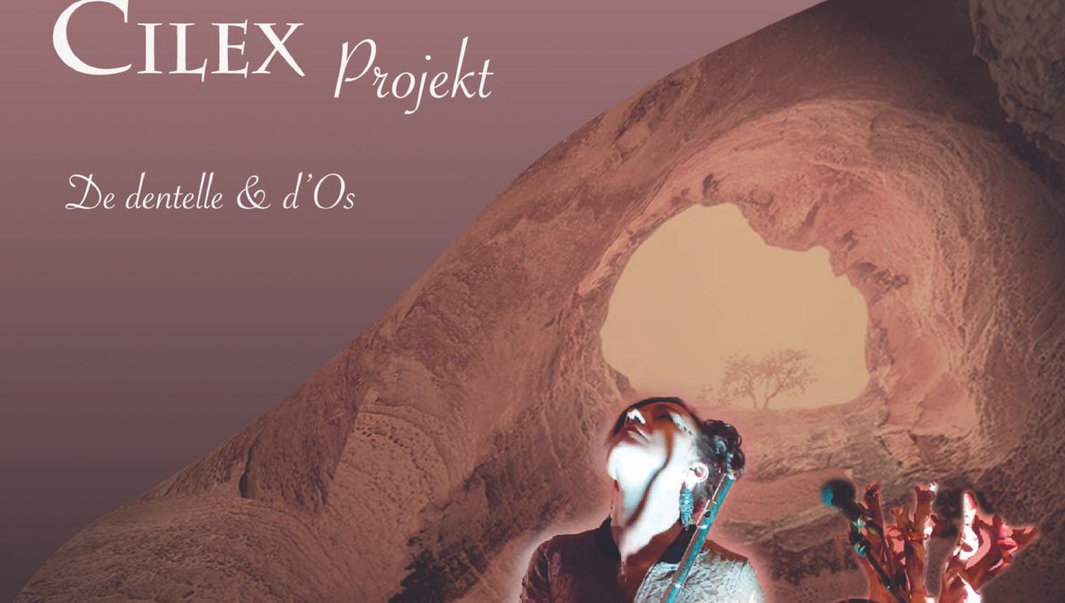 Cilex projekt