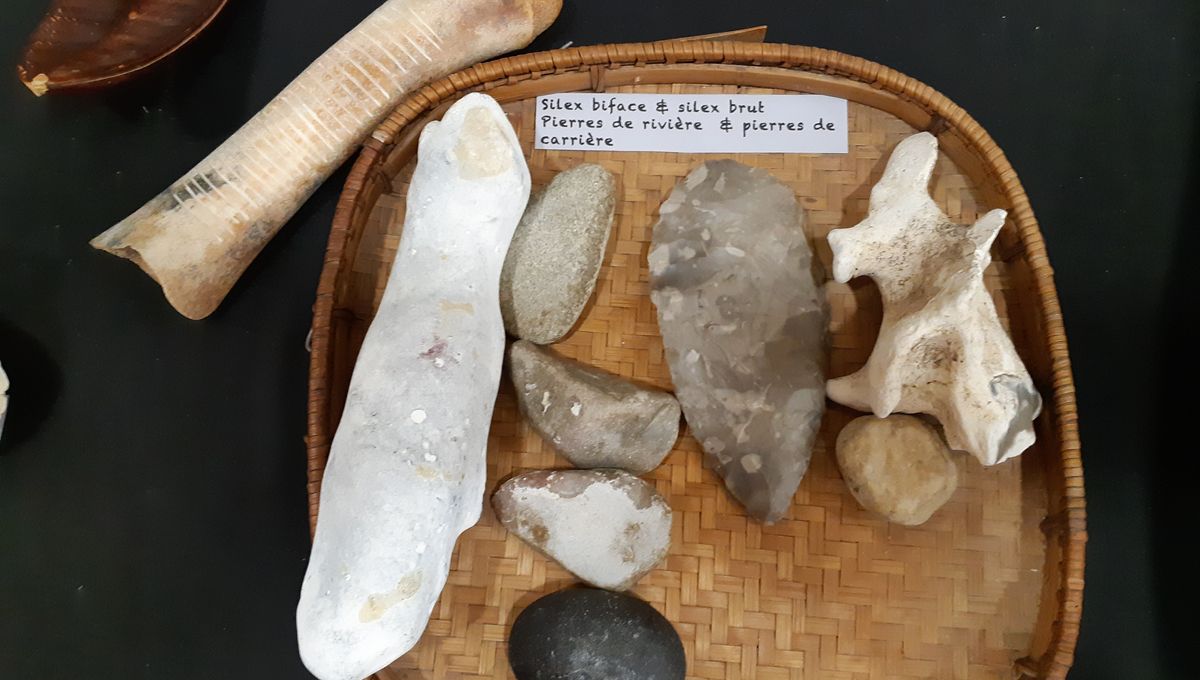 Prehistoric musical percussion rediscovered by the “traveling musician ...