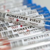 Hélène Fily | Biographie, actualité et podcasts à écouter | Radio France